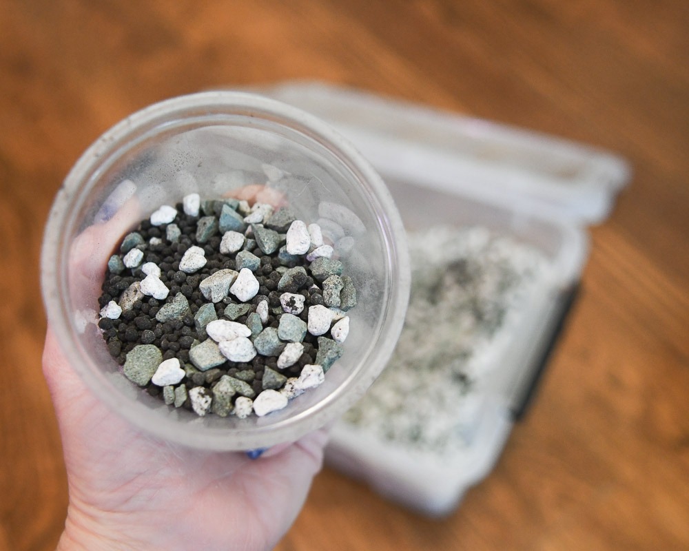 DIY Pon Recipe That Will Keep Your Houseplants Happy